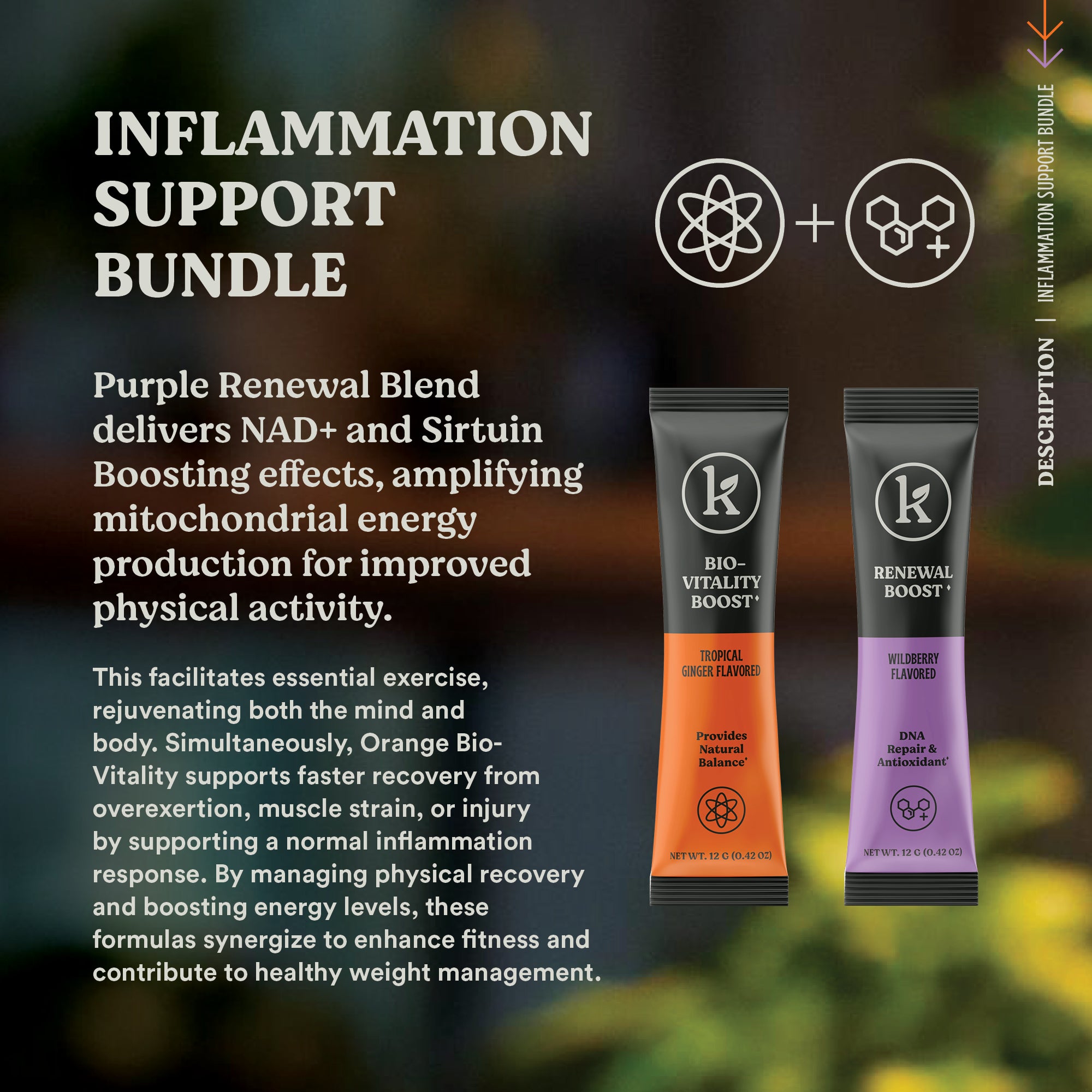Supplements to Reduce Inflammation | Kimia
