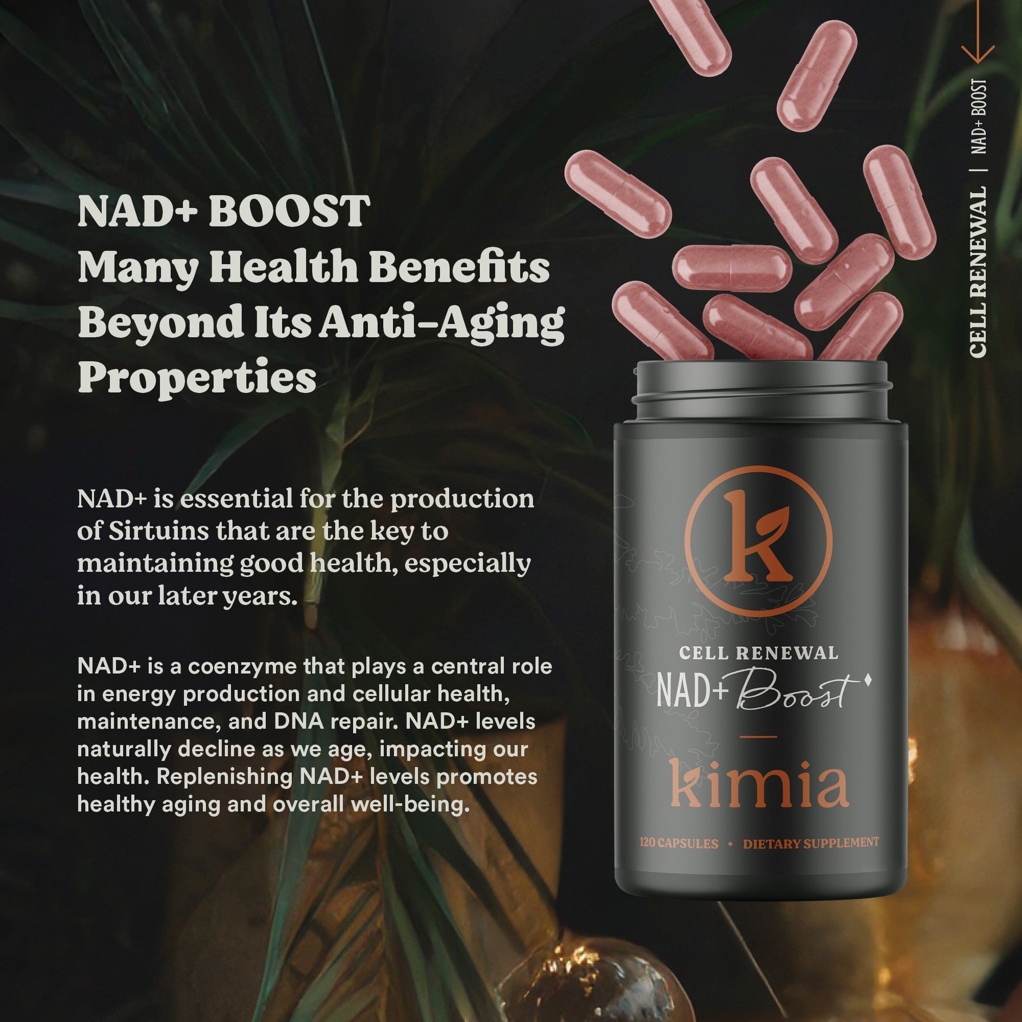 Factors Accelerating Aging: Lifestyle and Environmental Influences – Kimia