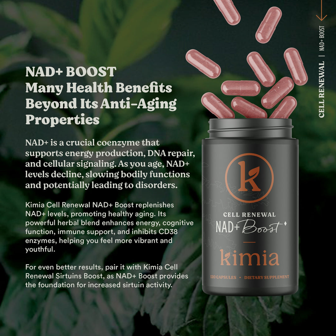 Boosting Brain Health and Mood with the Right Supplements – Kimia